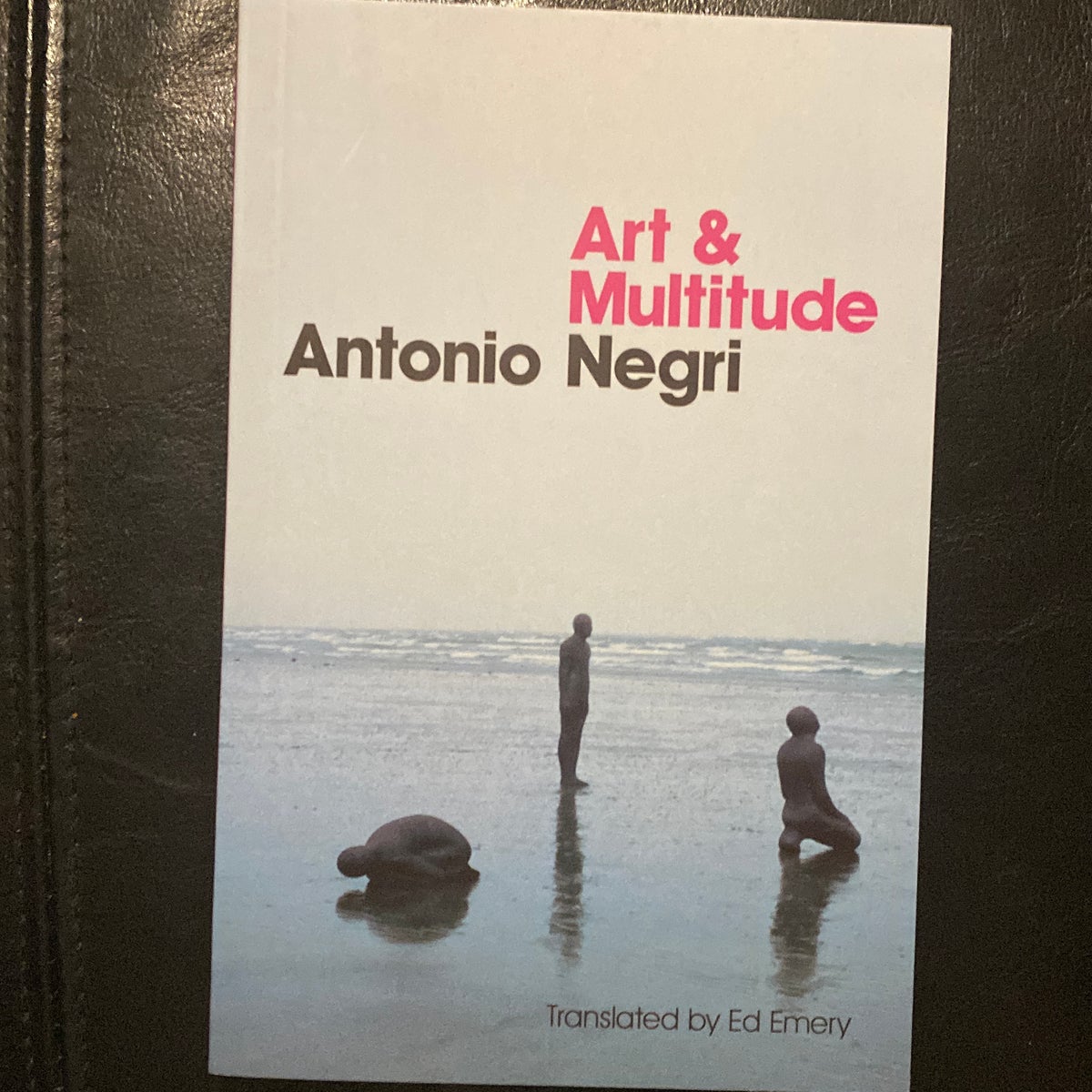 Art and Multitude by Antonio Negri