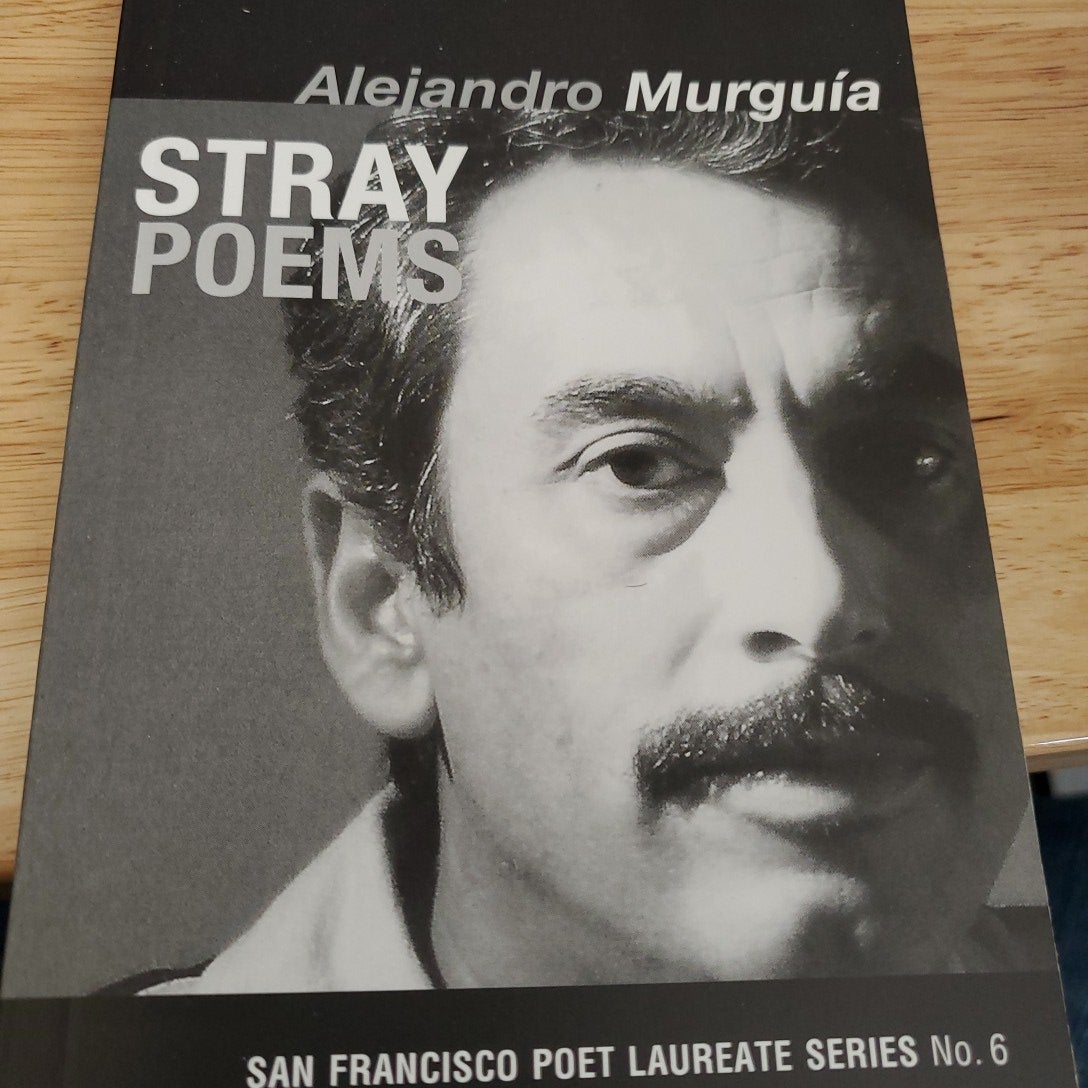 Stray Poems by Alejandro Murguia