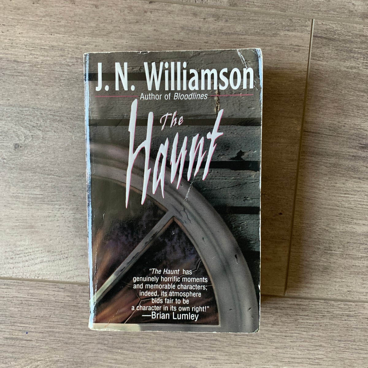The Haunt by J. N. Williamson, J. Williamson