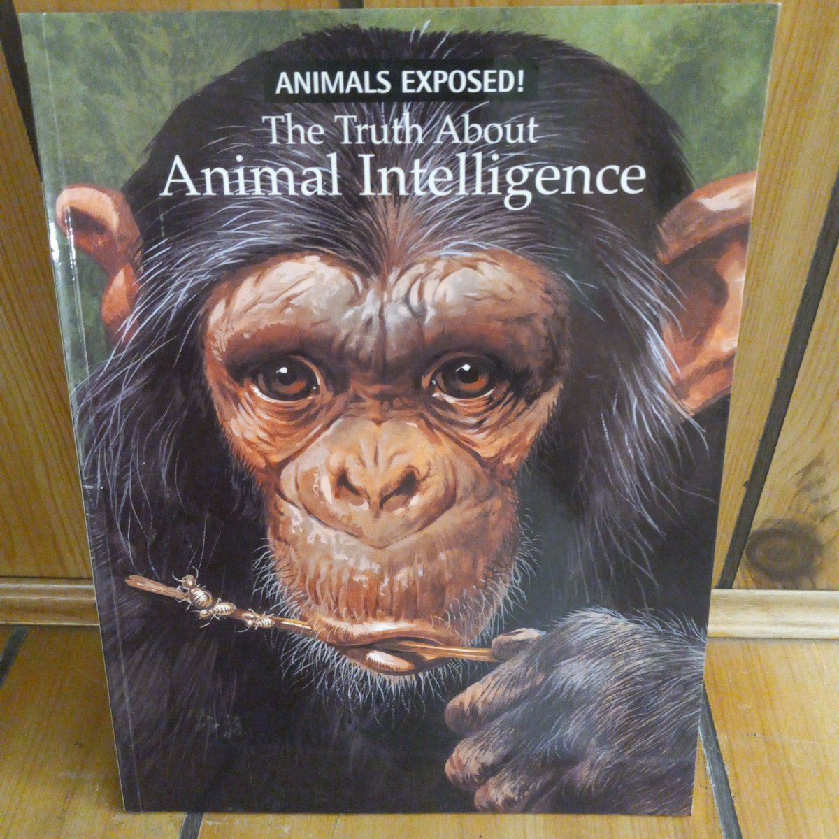 The Truth about Animal Intelligence by Bernard Stonehouse, Esther Bertram