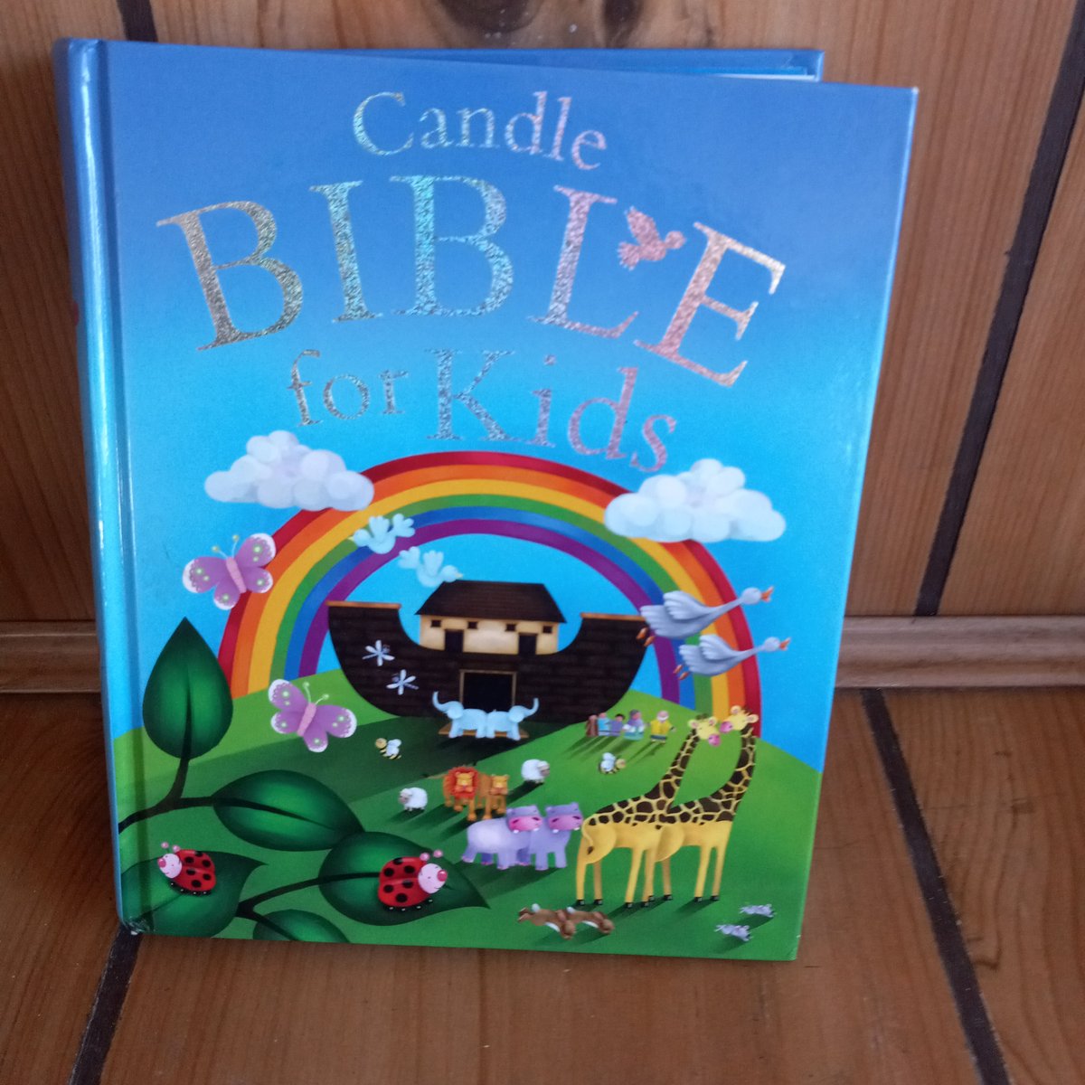 Paraclete Bible for Kids by Juliet David