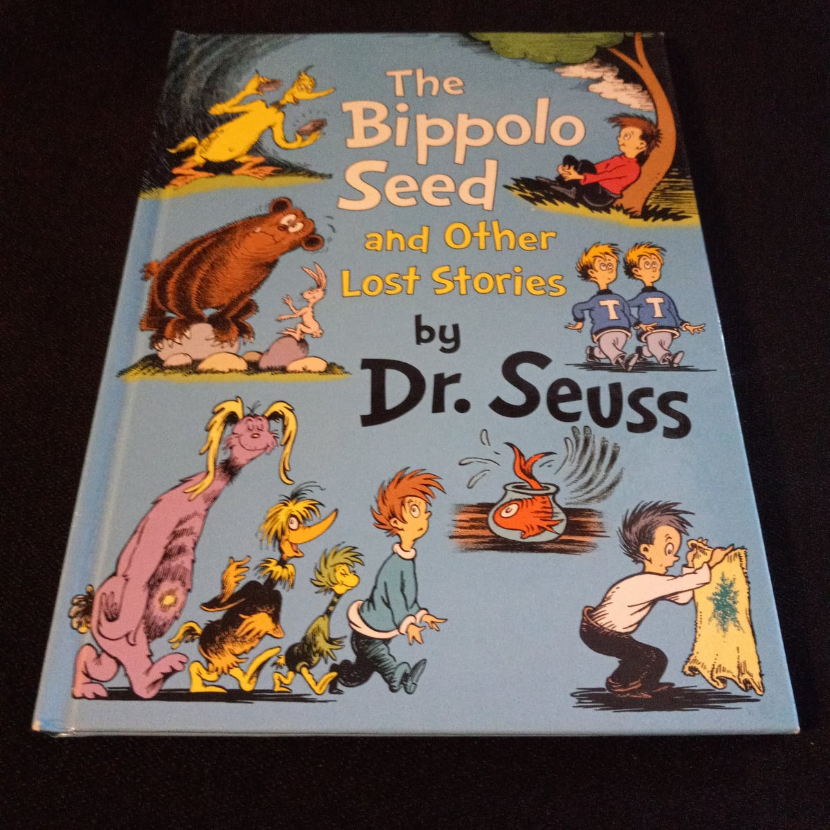 The Bippolo Seed and Other Lost Stories by Seuss