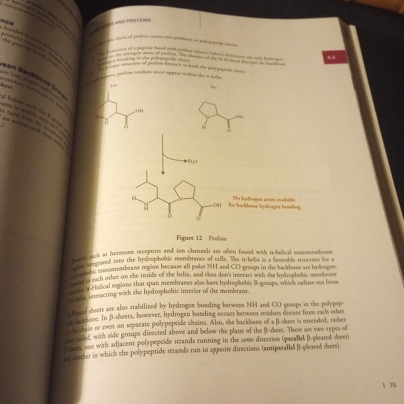 Mcat Biochemistry Review