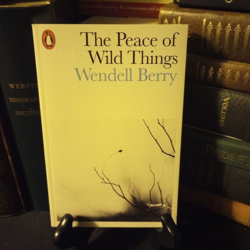 The Peace of Wild Things by Wendell Berry
