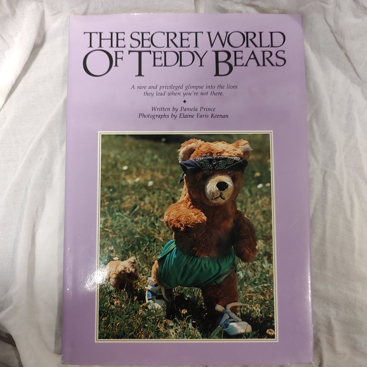 Secret World of Teddy Bears by Pamela Prince, Hardcover | Pangobooks