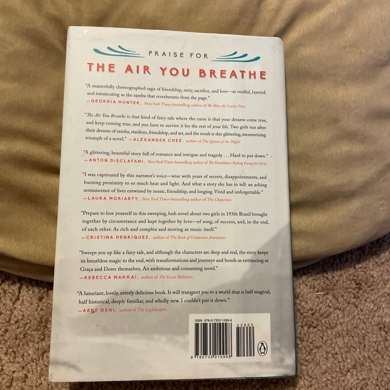 The Air You Breathe