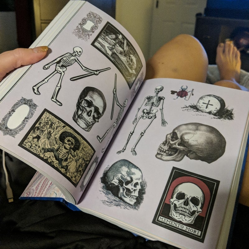 The Antiquarian Sticker Book by Odd Dot | Pangobooks