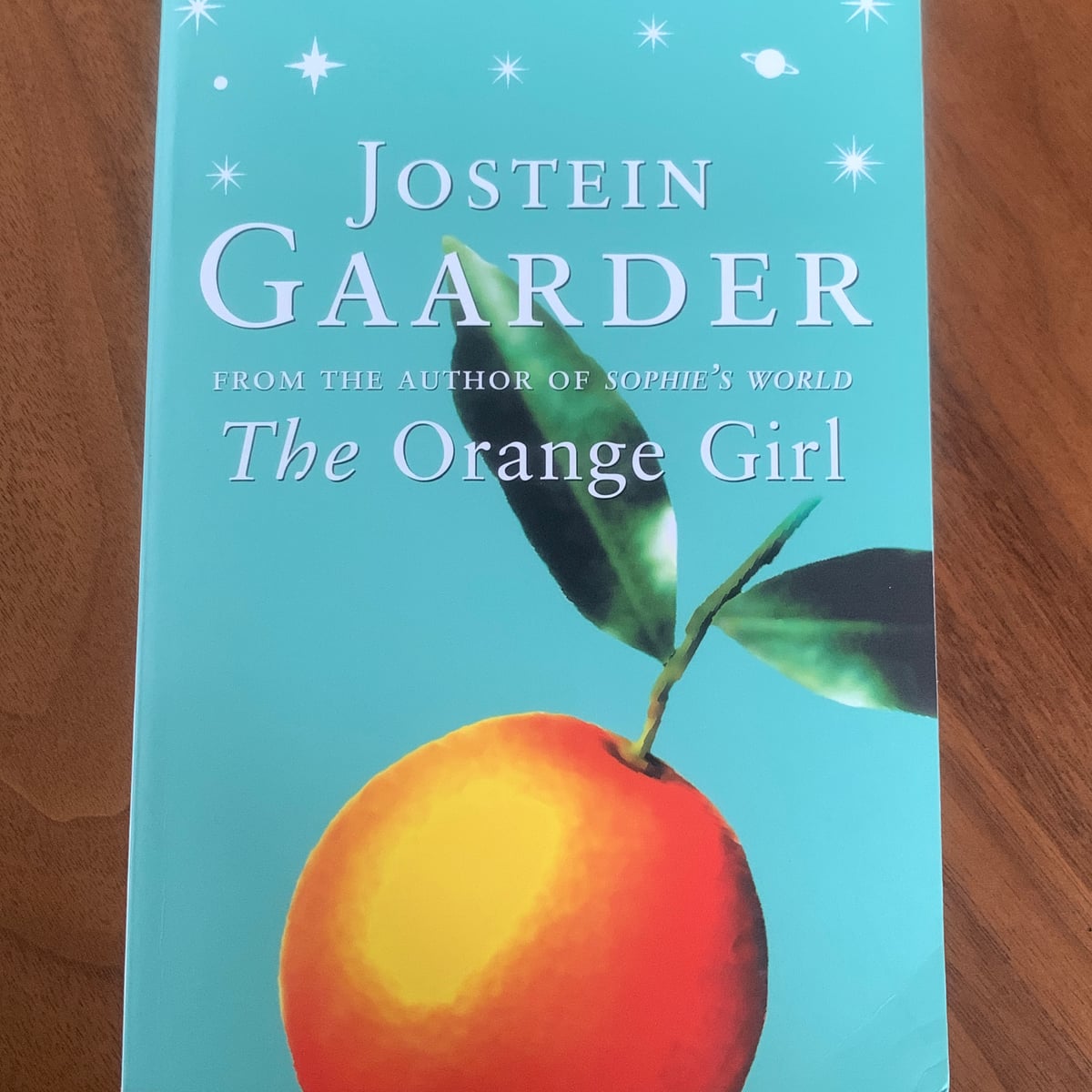 The Orange Girl by Jostein Gaarder
