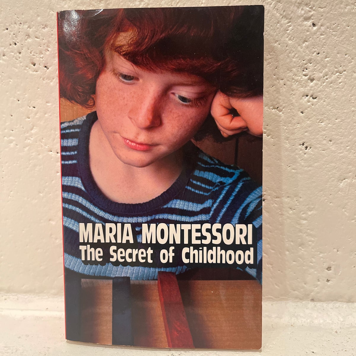 The Secret of Childhood by Maria Montessori, Paperback | Pangobooks