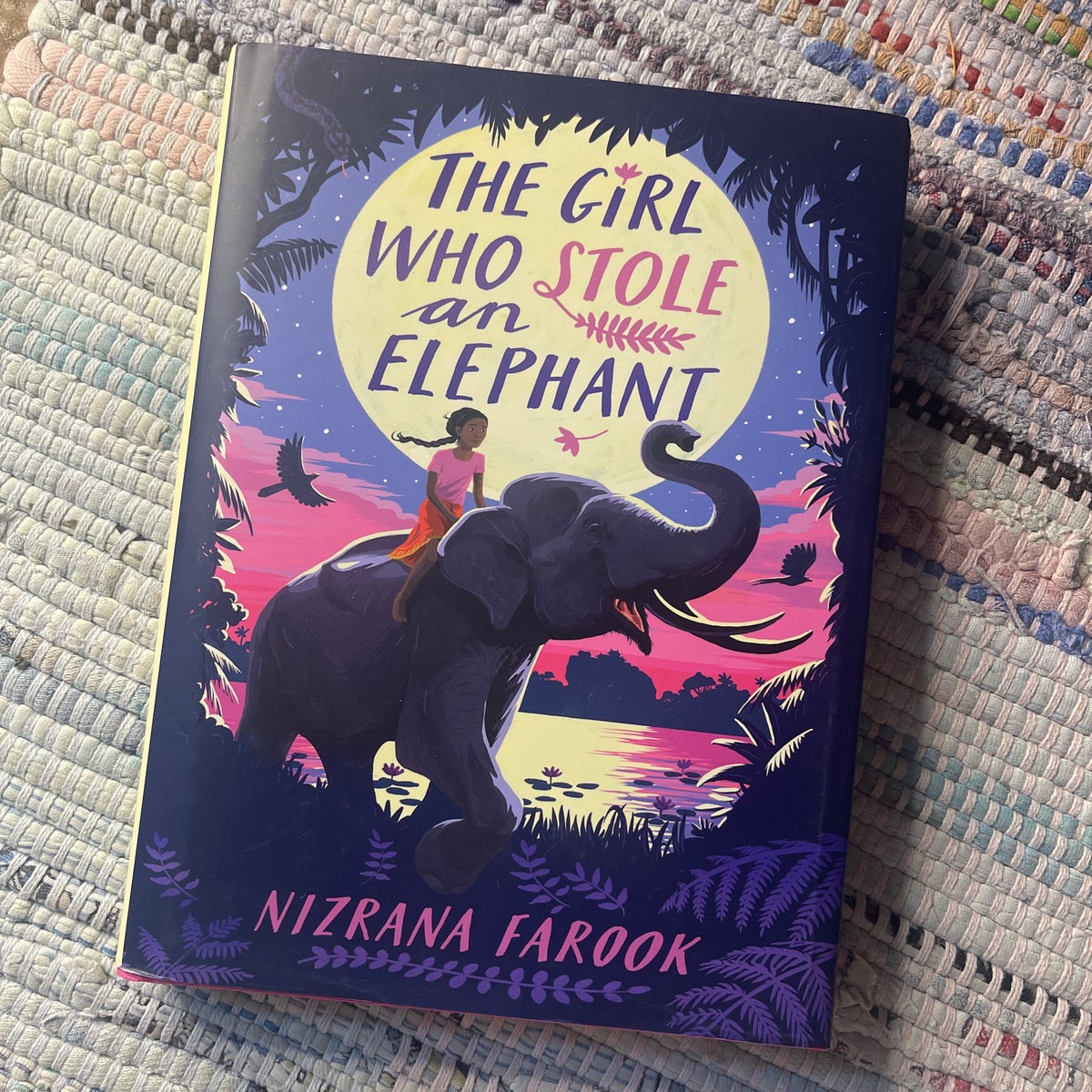 The Girl Who Stole an Elephant by Nizrana Farook