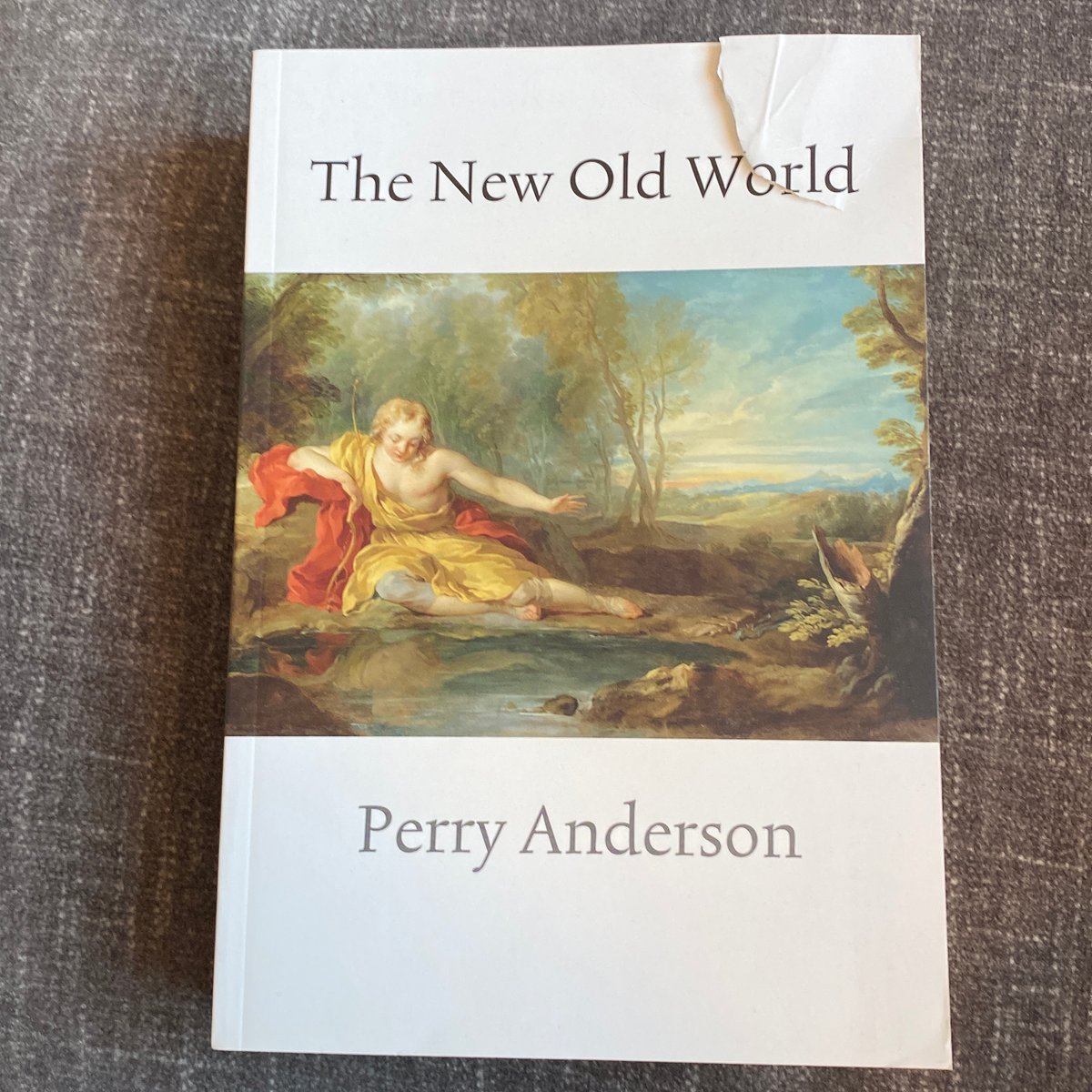 The New Old World by Perry Anderson