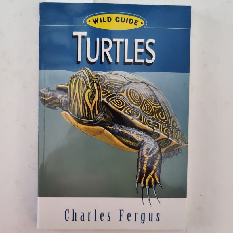Turtles by Charles Fergus