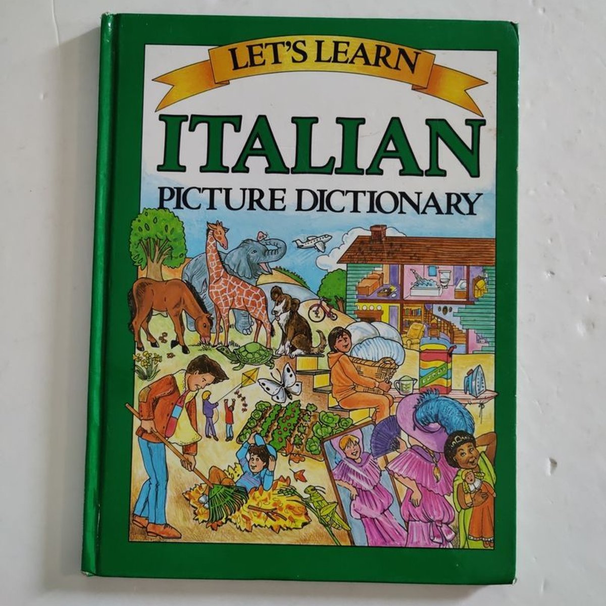 Italian Picture Dictionary by Passport Books Staff, Hardcover | Pangobooks