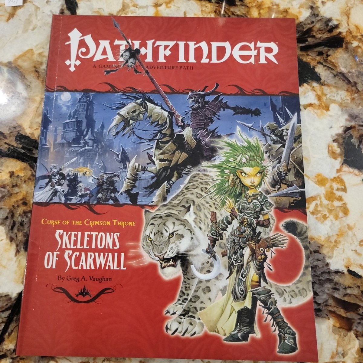 Skeletons of Scarwall by Wayne Reynolds, Greg A. Vaughan