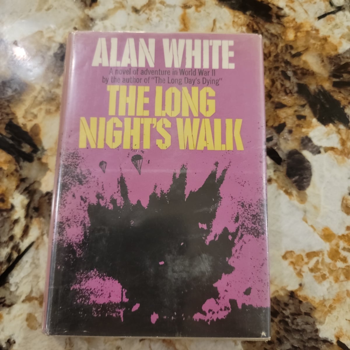 The Long Night's Walk by Alan White
