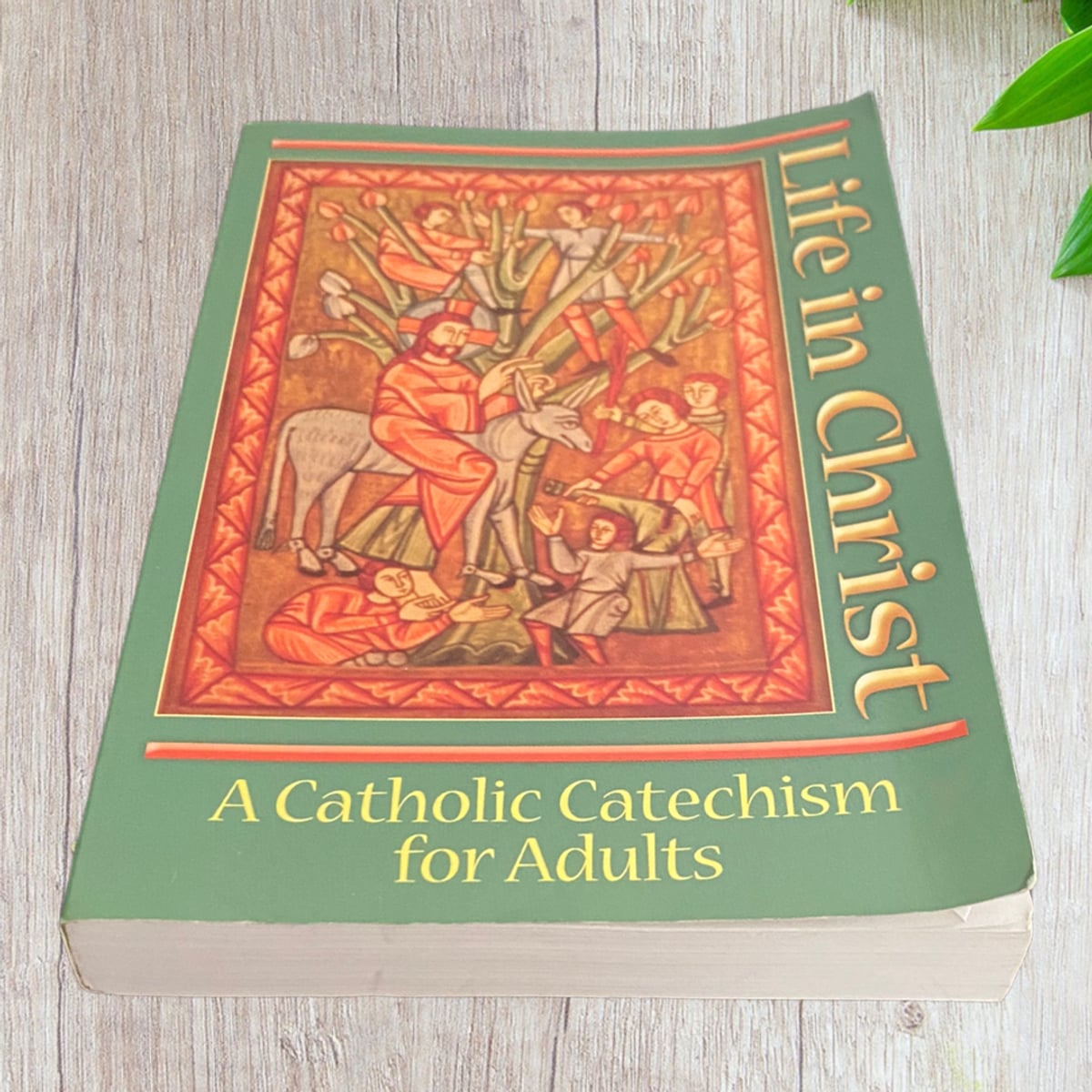 Life in Christ by James J. Killgallon, Gerard Weber, Michael Place ...
