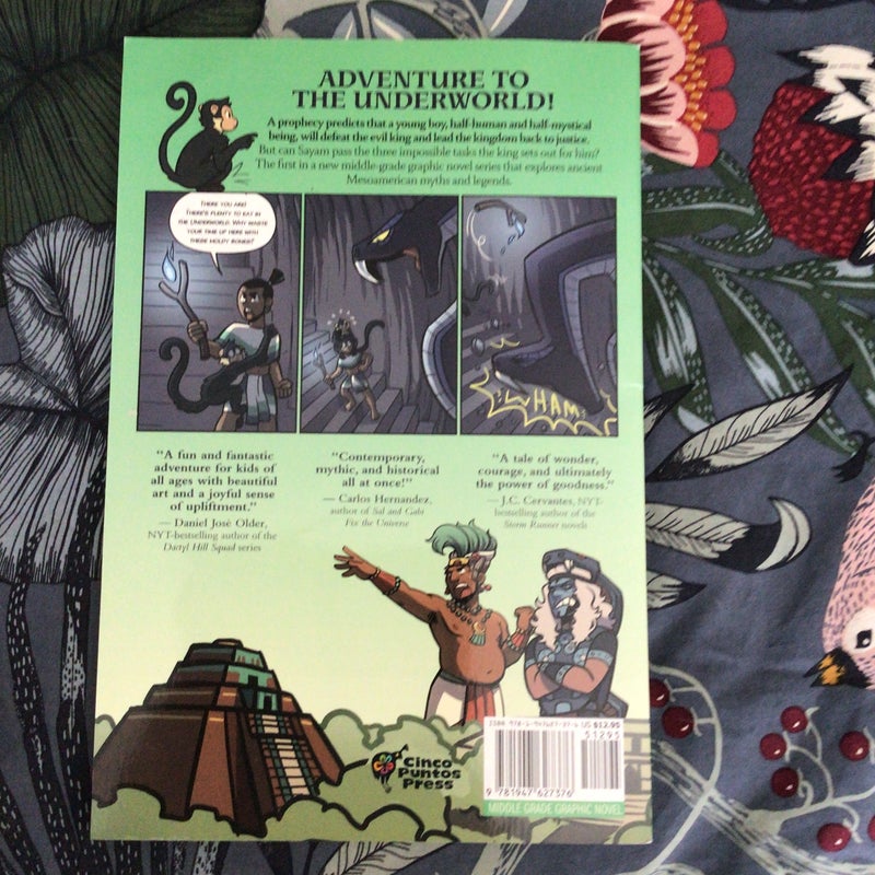 Rise of the Halfling King by David Bowles