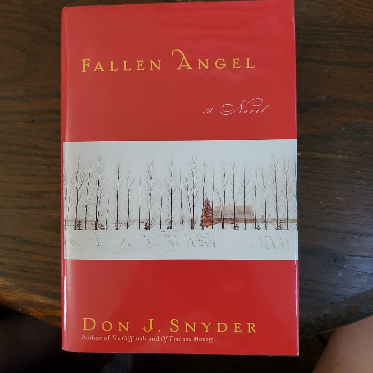 Fallen Angel by Don J. Snyder, Hardcover | Pangobooks
