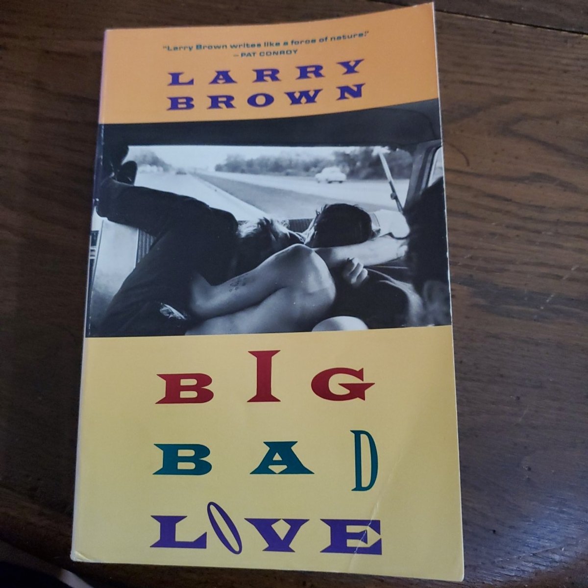 Big Bad Love by Larry Brown