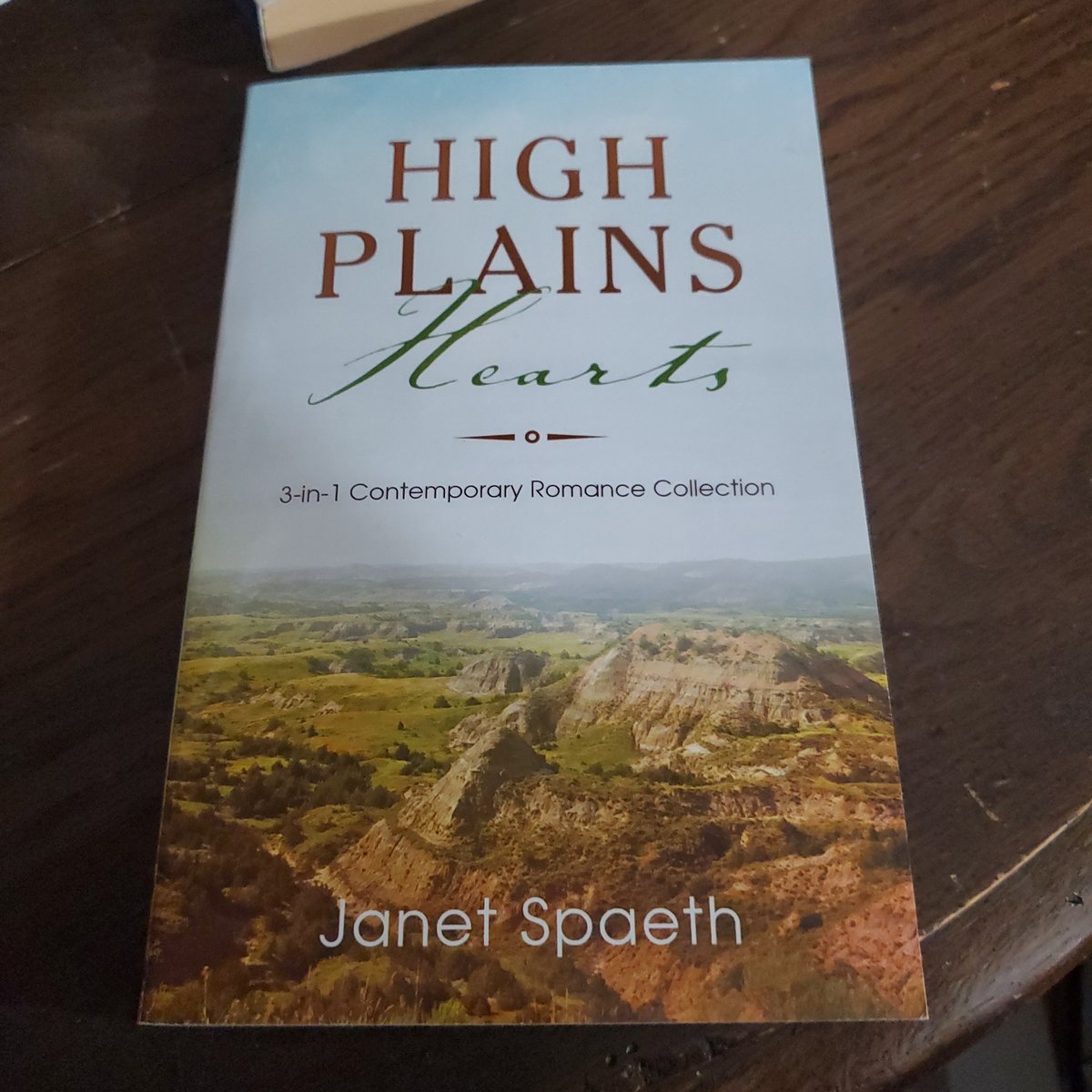 High Plains Hearts by Janet Spaeth