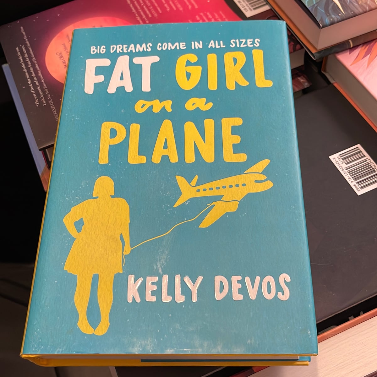 Fat Girl on a Plane
