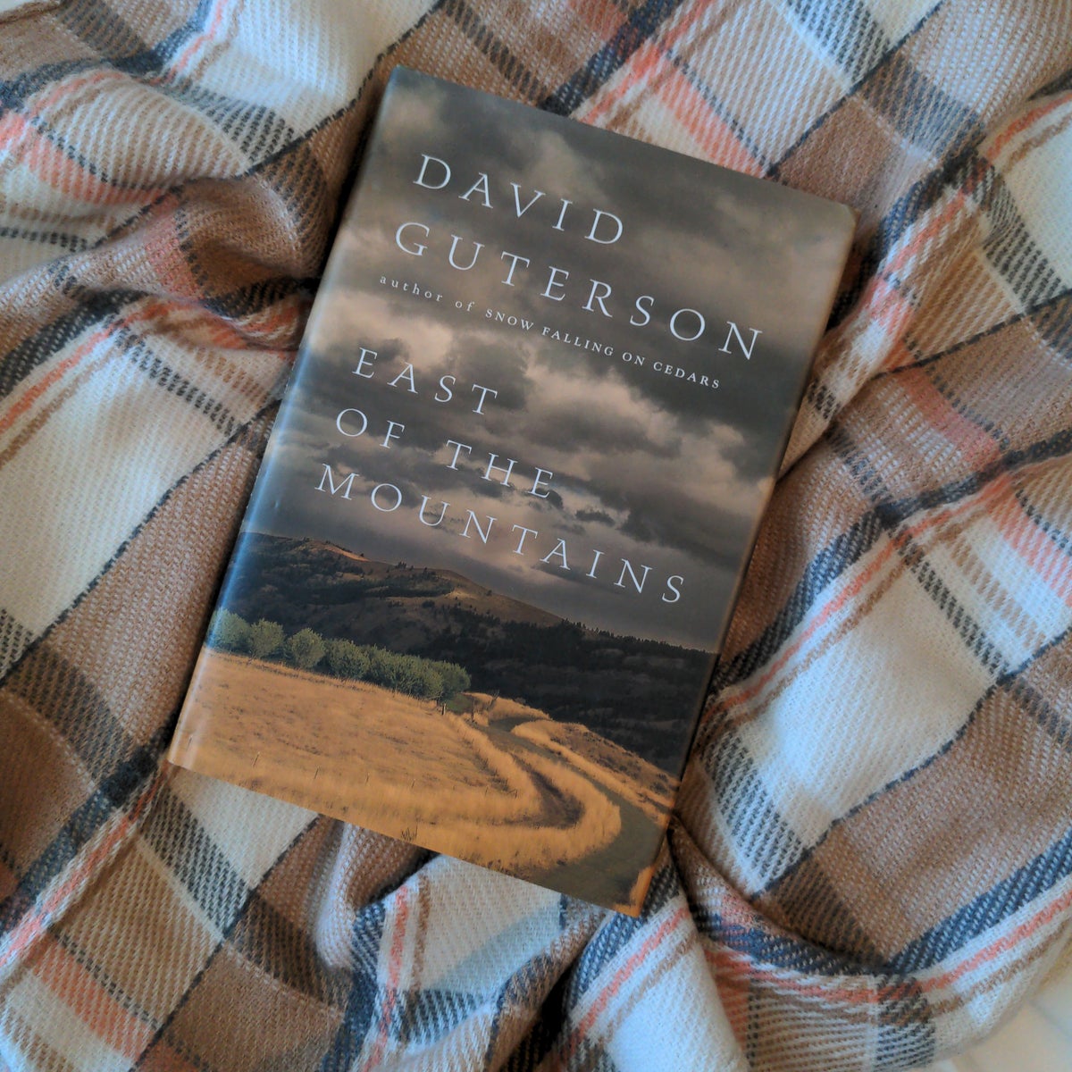 East of the Mountains by David Guterson