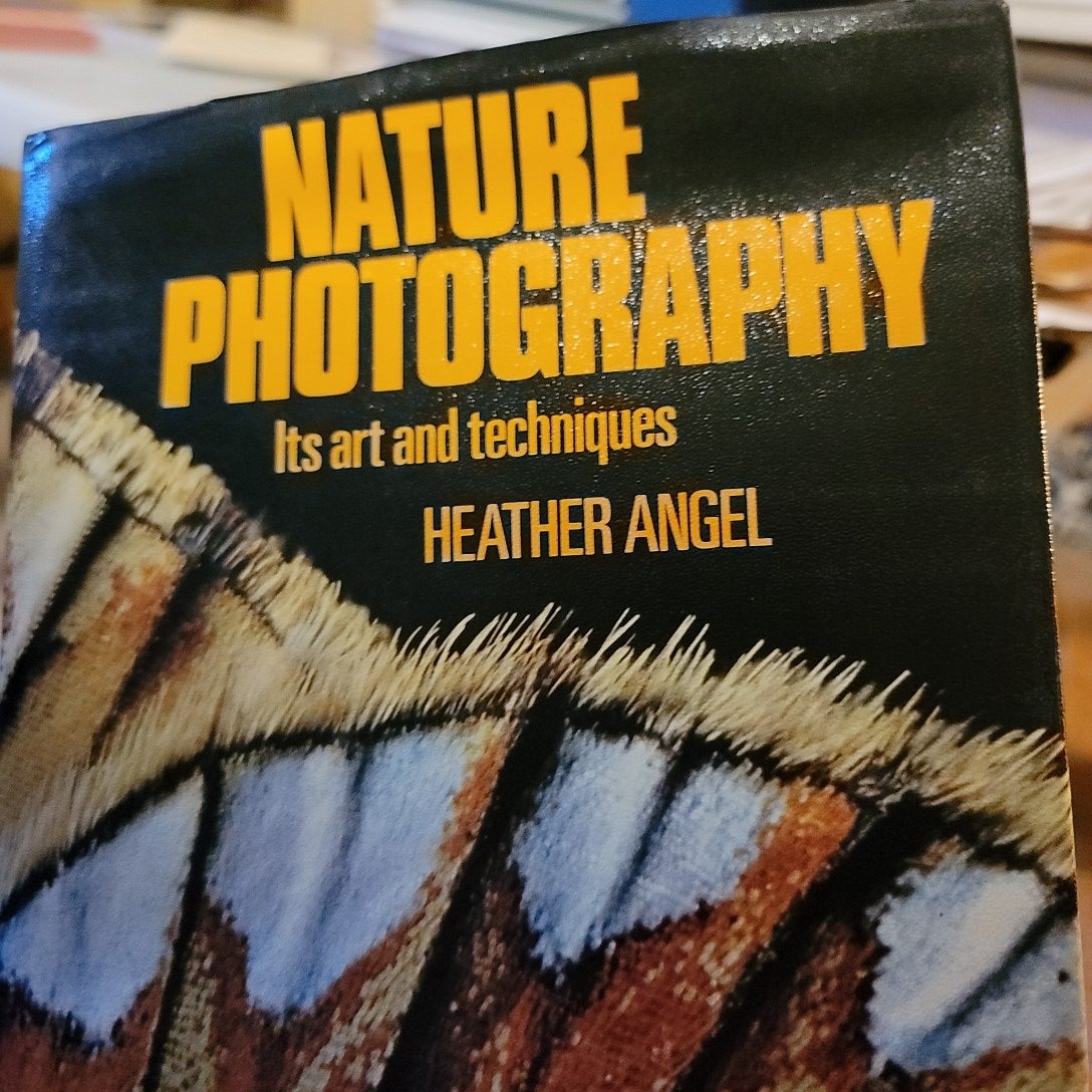 A View from a Window by Heather Angel