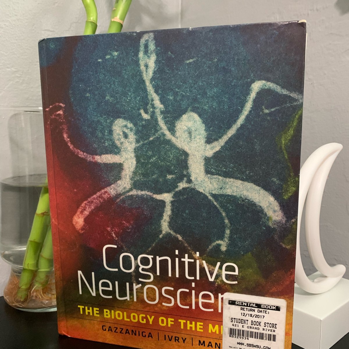 Cognitive Neuroscience the Biology of the Mind by Michael S. Gazzaniga