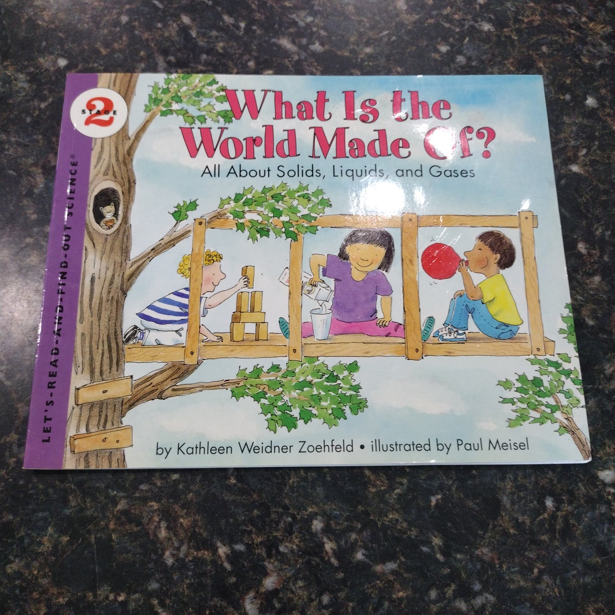 What Is the World Made Of?