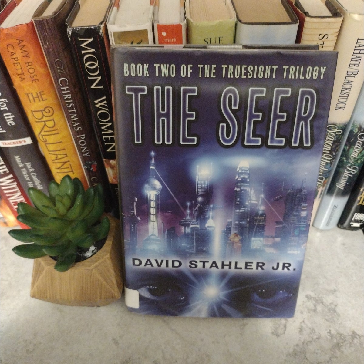 The Seer by David Stahler