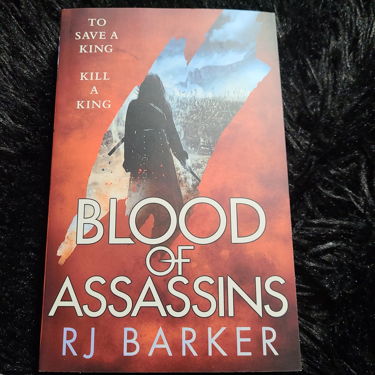 Blood of Assassins by RJ Barker