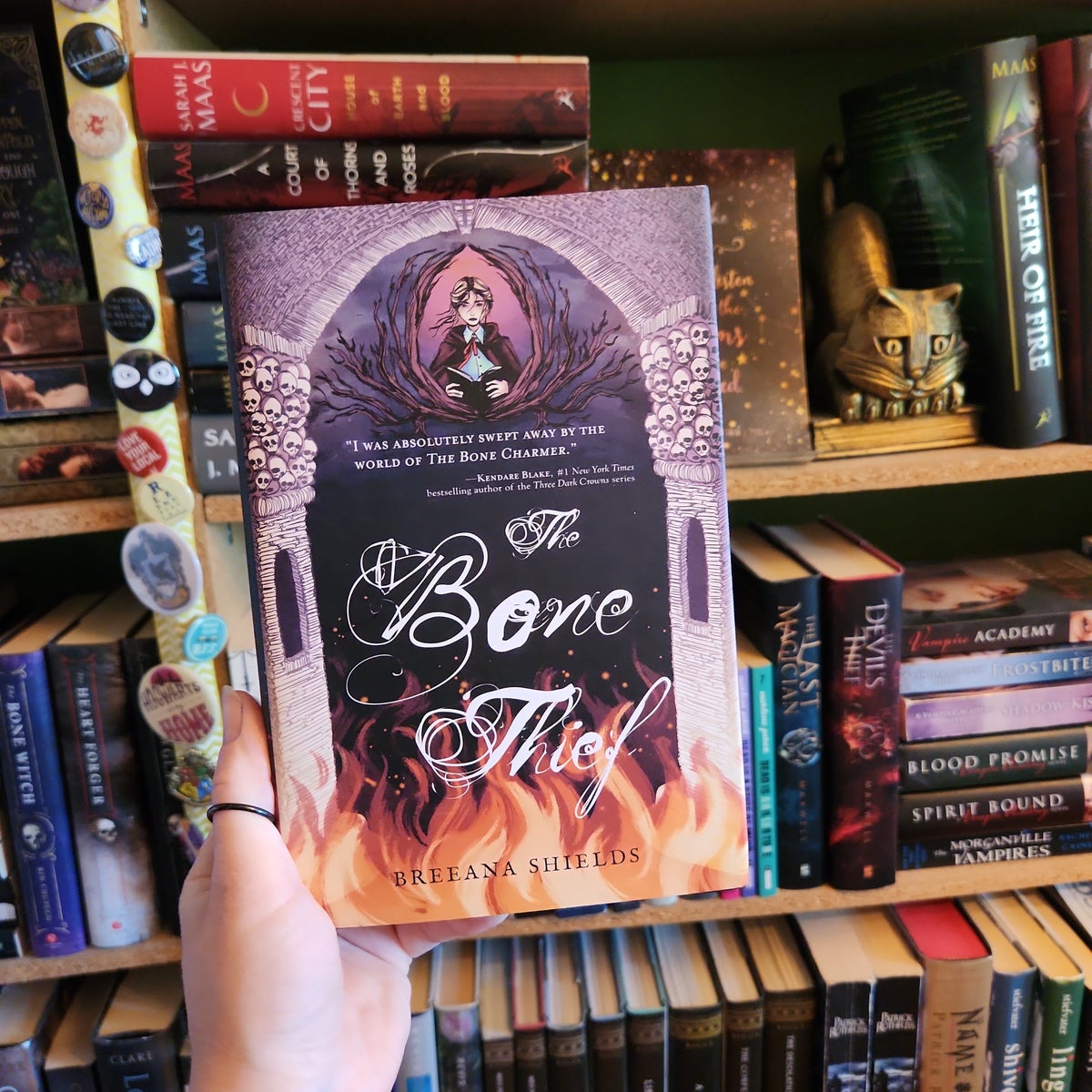 The Bone Thief by Breeana Shields