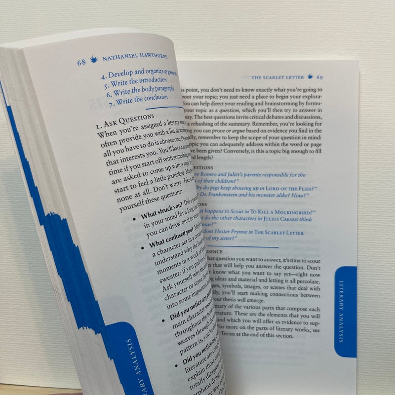 The Scarlet Letter SparkNotes Literature Guide