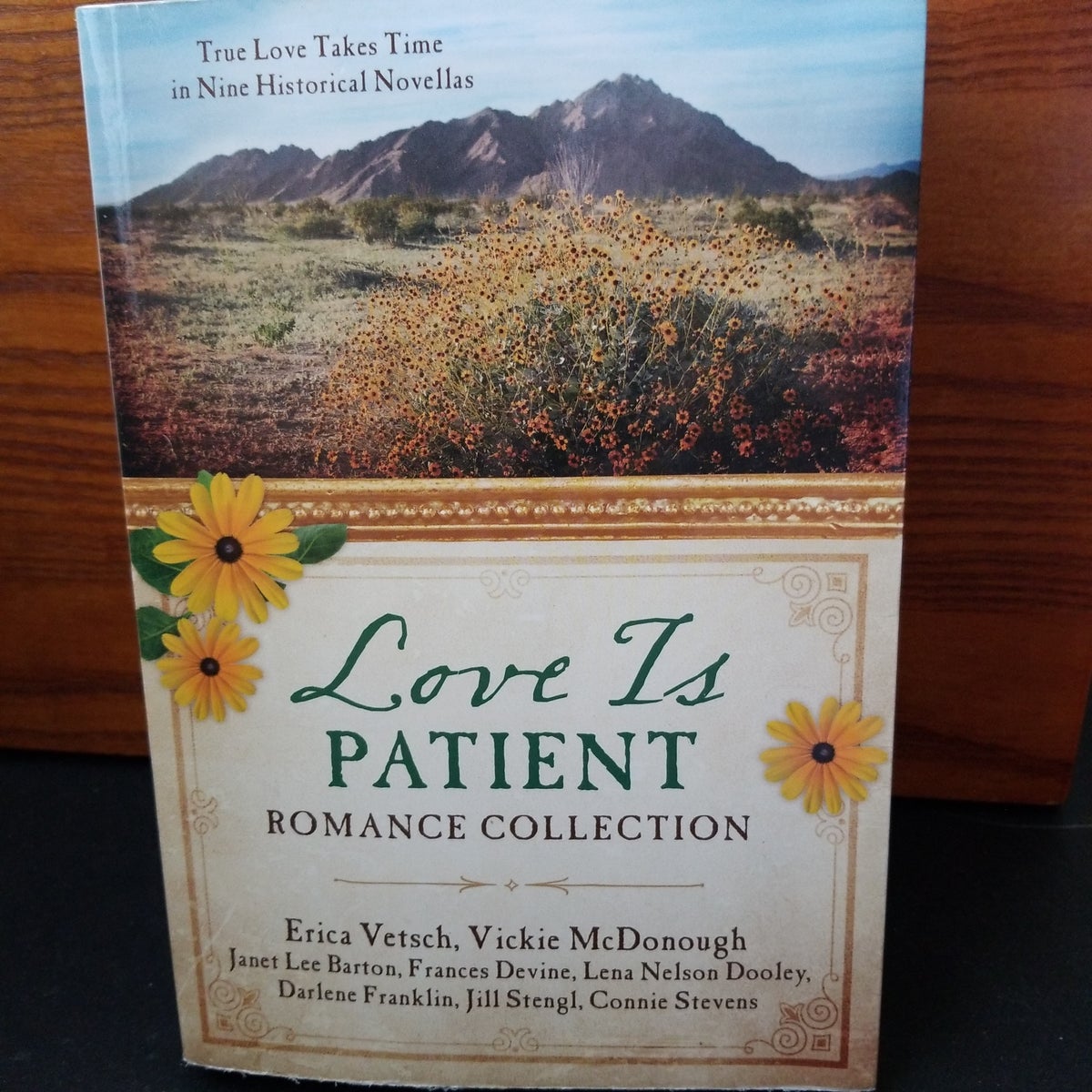 The Love Is Patient Romance Collection by Erica Vetsch, Vickie ...
