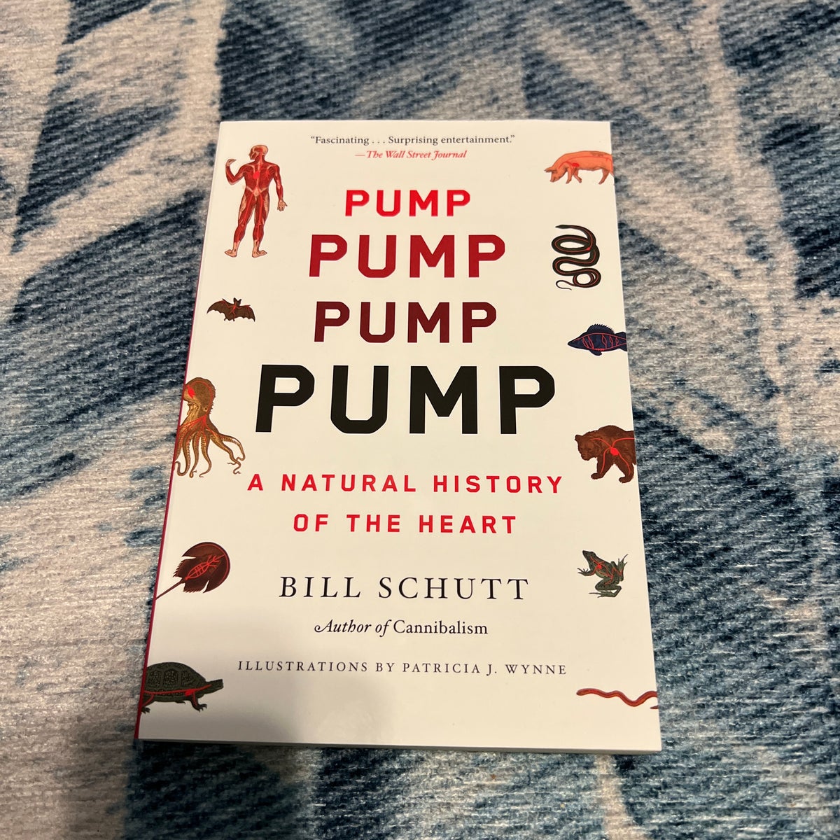 Pump by Bill Schutt
