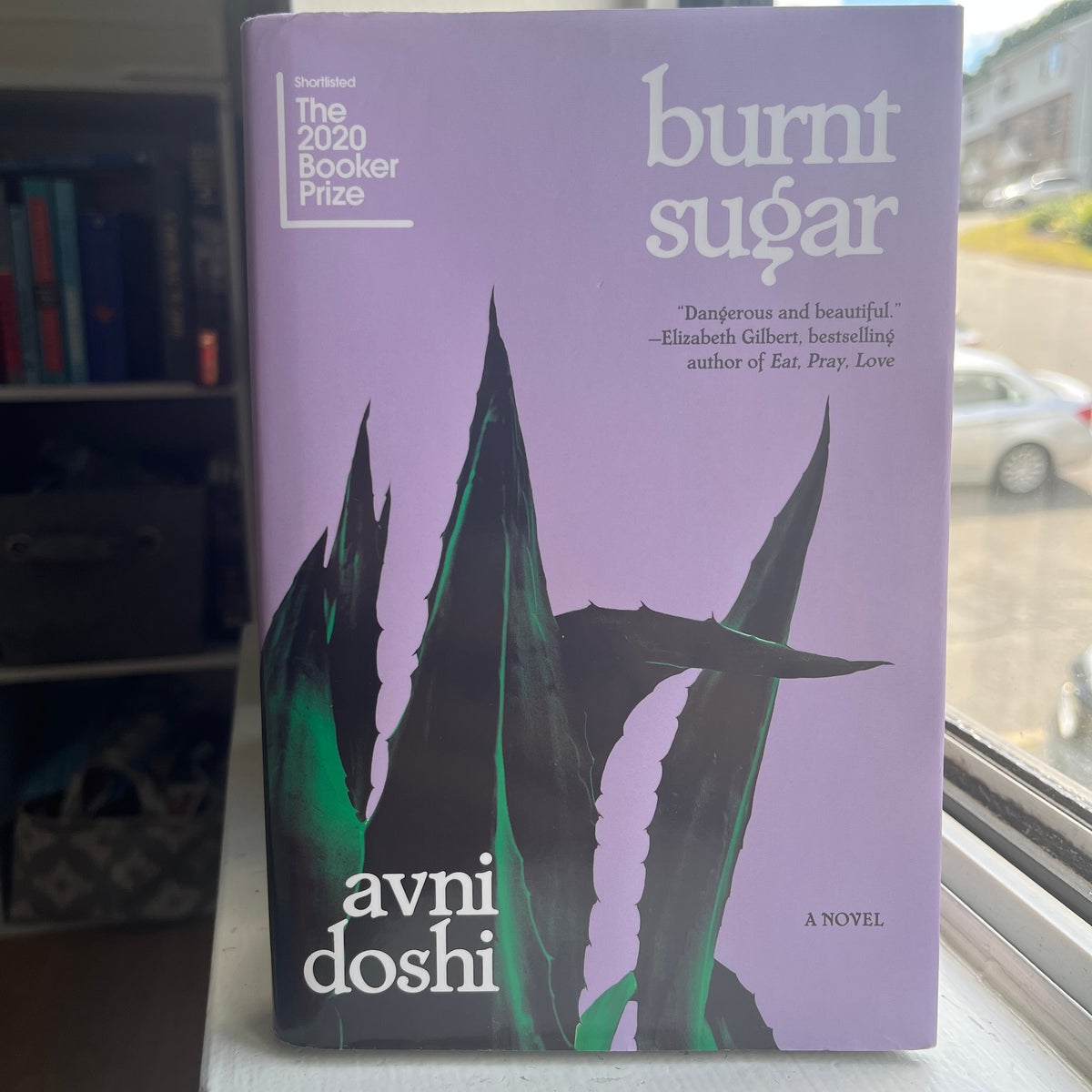 Burnt Sugar by Avni Doshi
