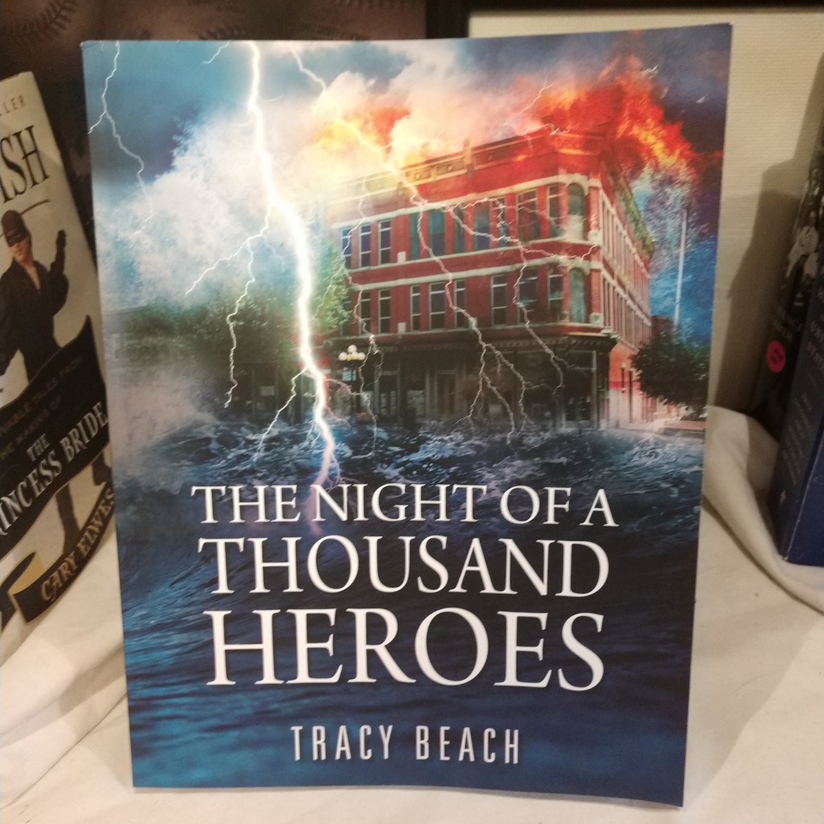 The Night of a Thousand Heroes by Tracy Beach