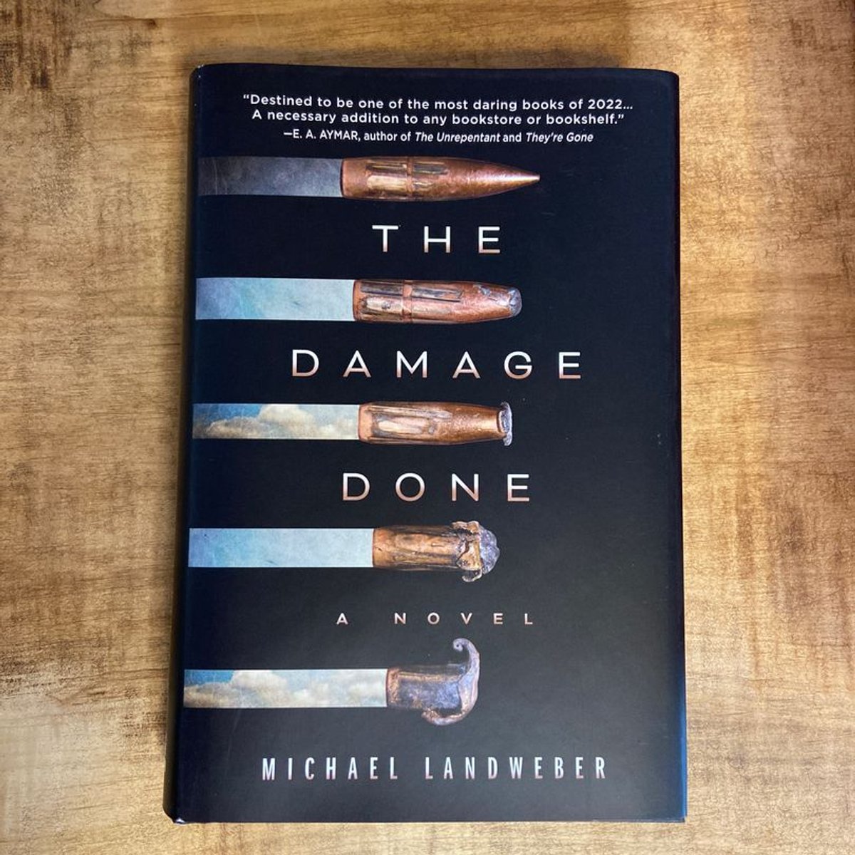 The Damage Done by Michael Landweber