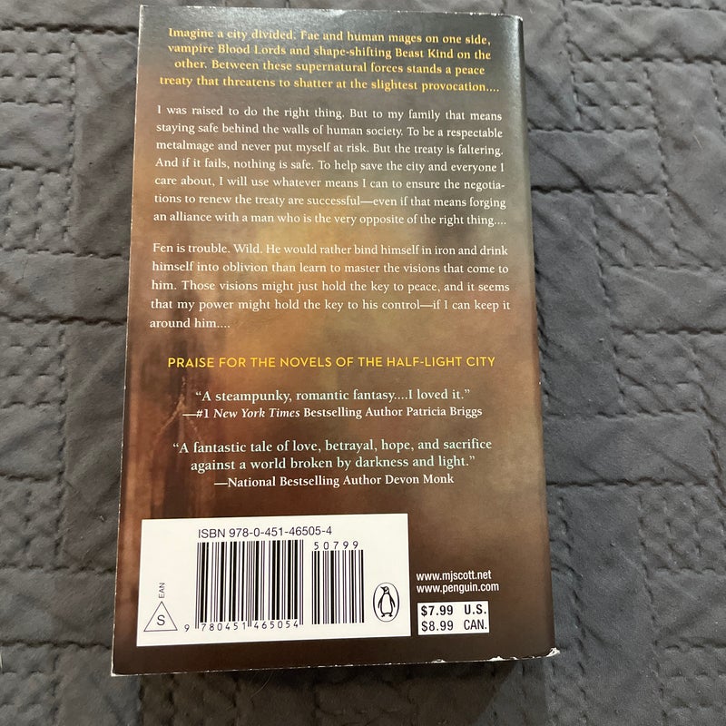 Iron Kin by M. J. Scott