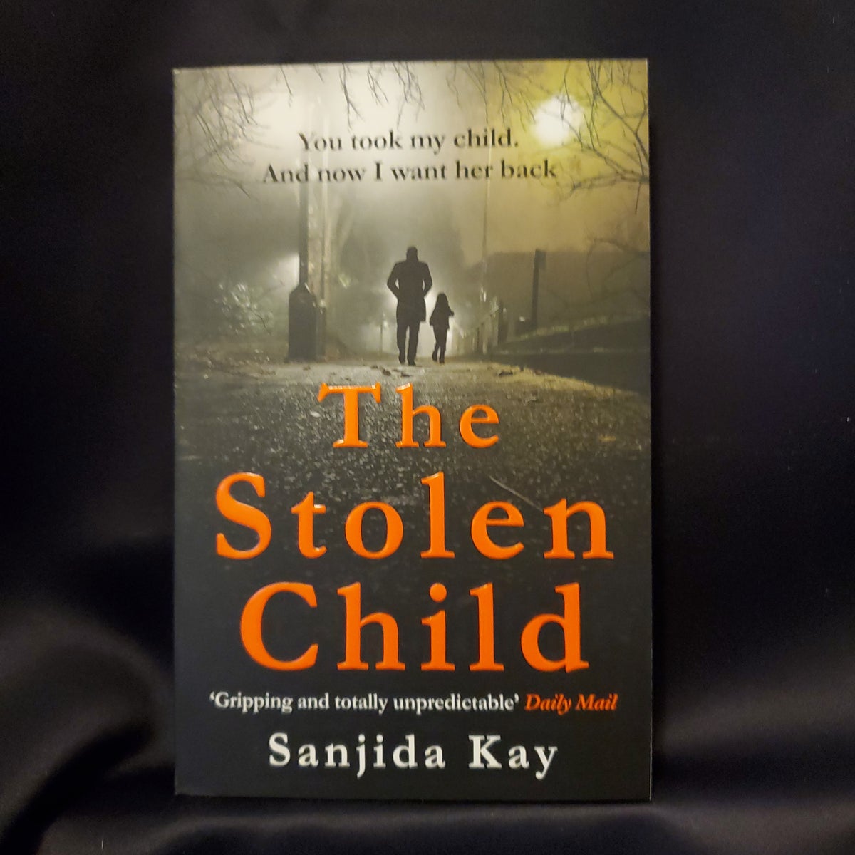 The Stolen Child by Sanjida Kay