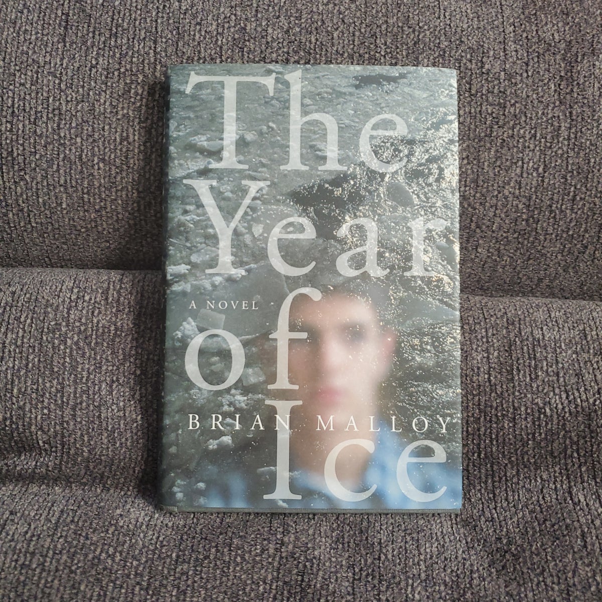 The Year of Ice by Brian Malloy
