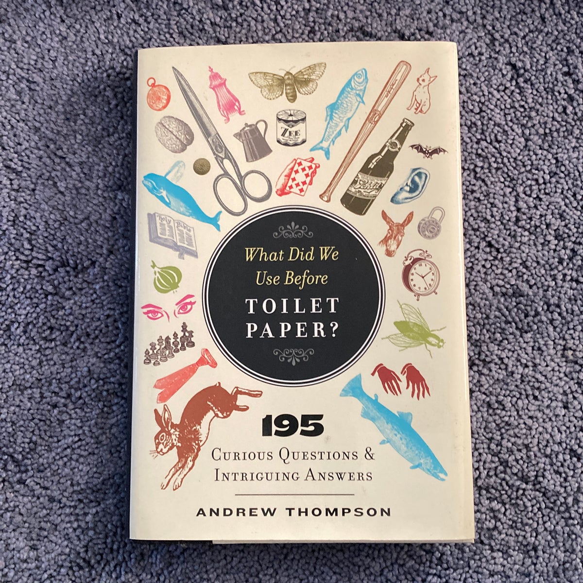 What Did We Use Before Toilet Paper?