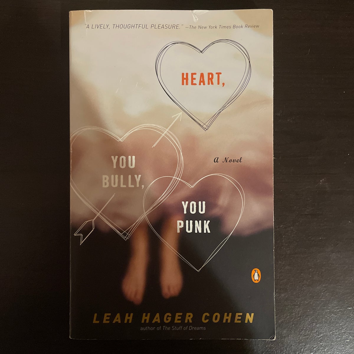 Heart, You Bully, You Punk by Leah Hager Cohen