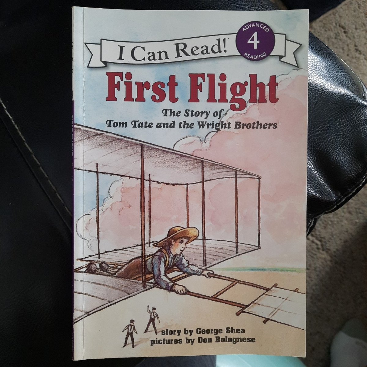 First Flight by George Shea