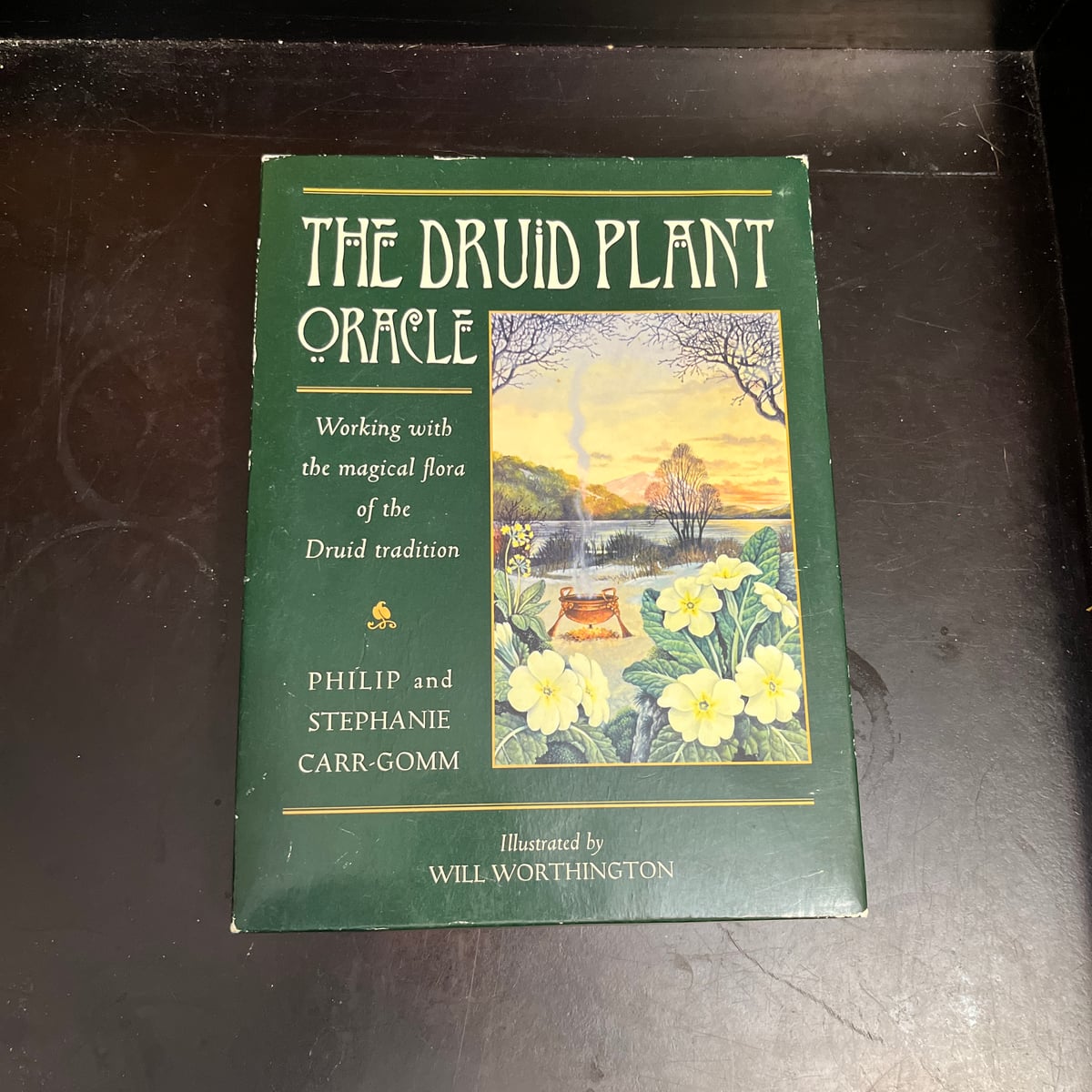 The Druid Plant Oracle by Philip Carr-Gomm, Stephanie Carr-Gomm
