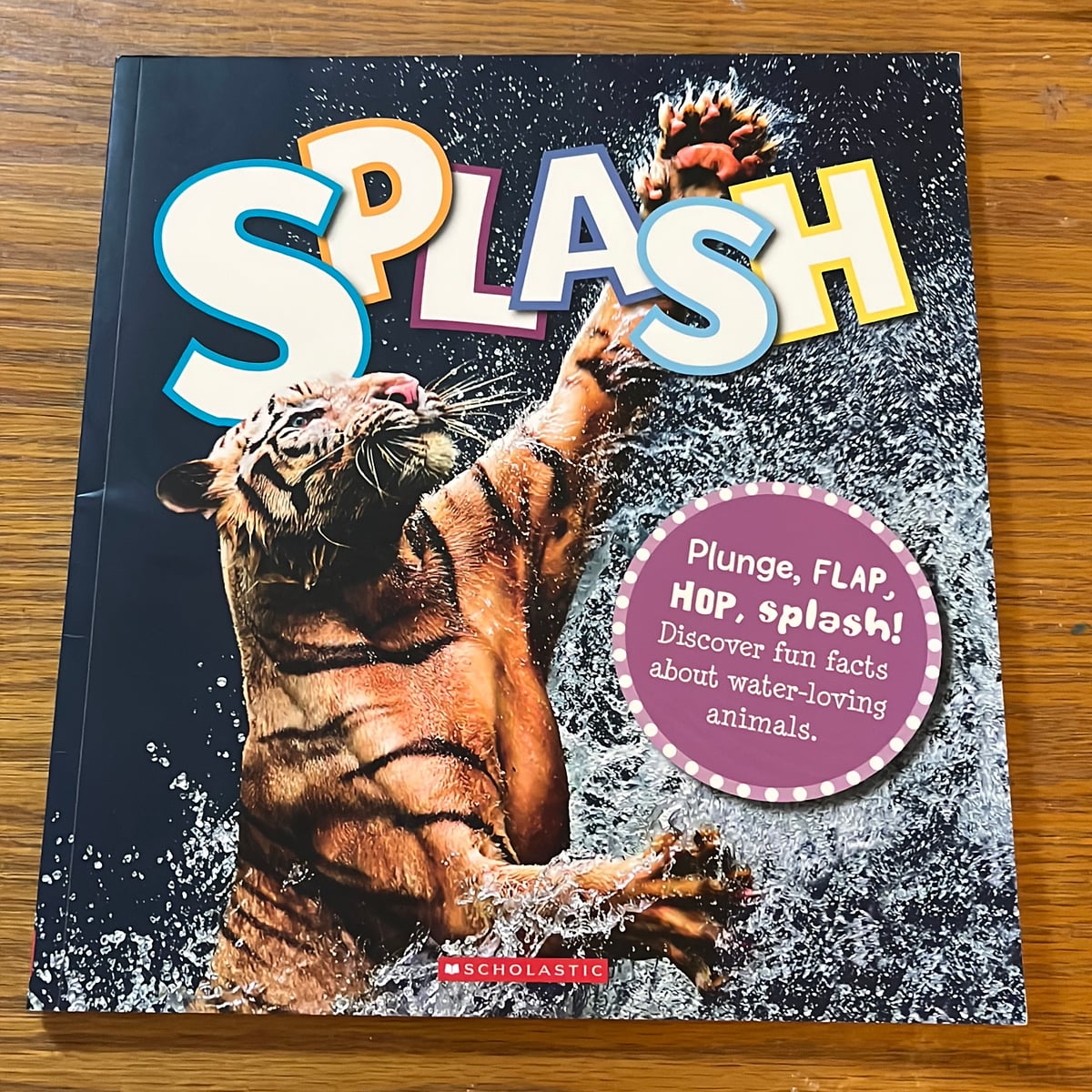 Splash by Camilla De la Bédoyère