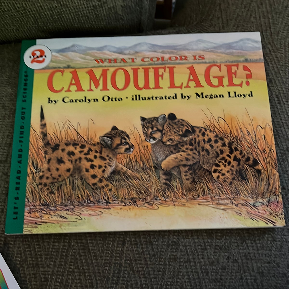 What Colour Is Camouflage? by Carolyn B. Otto