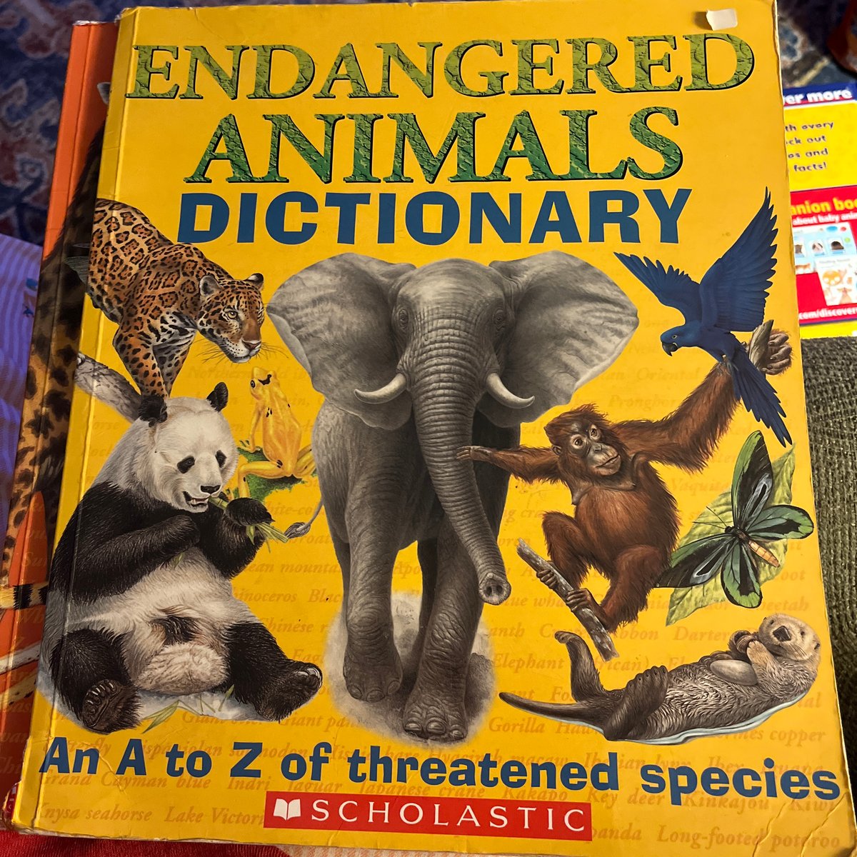 Endangered Animals Dictionary by Clint Twist