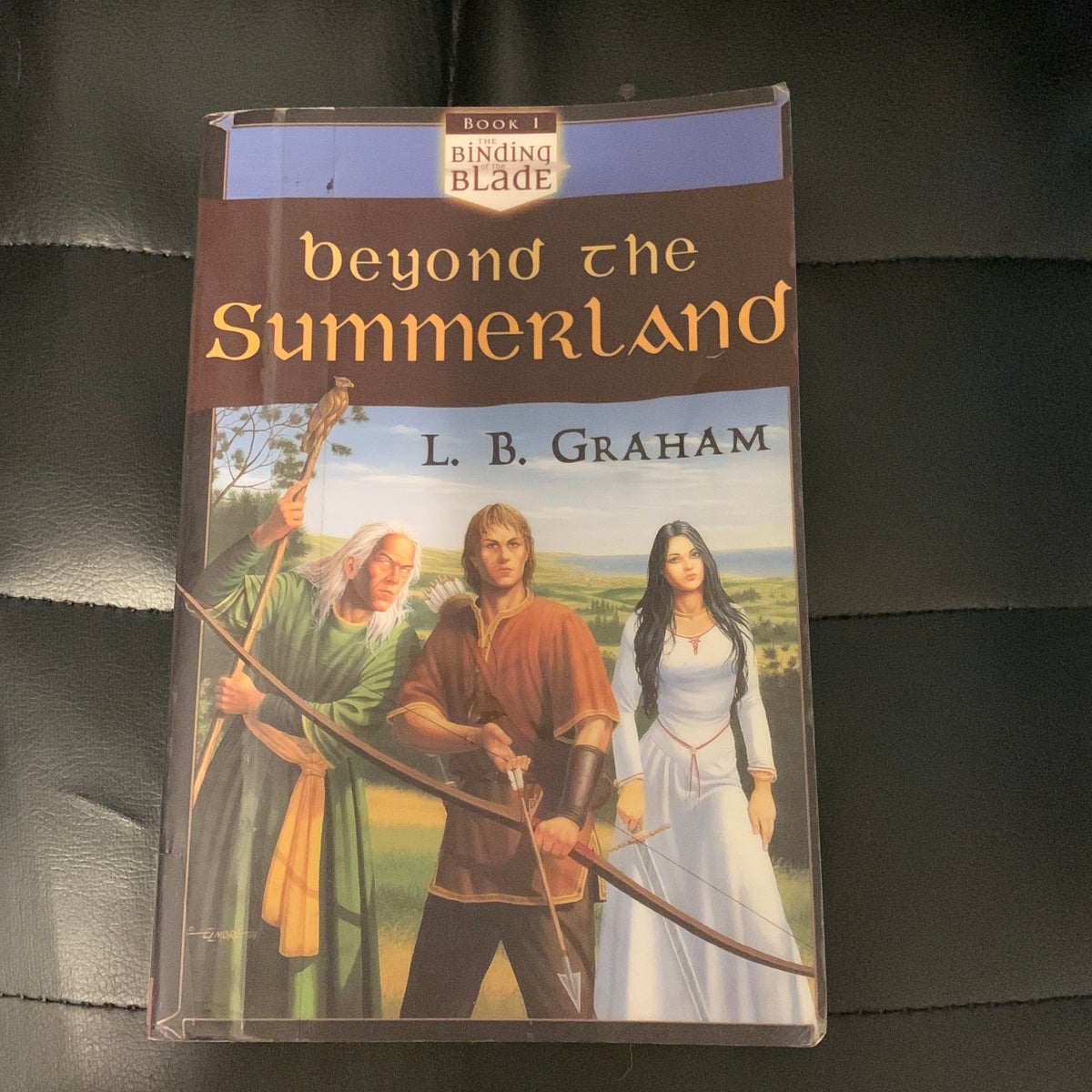 Beyond the Summerland by L. B. Graham