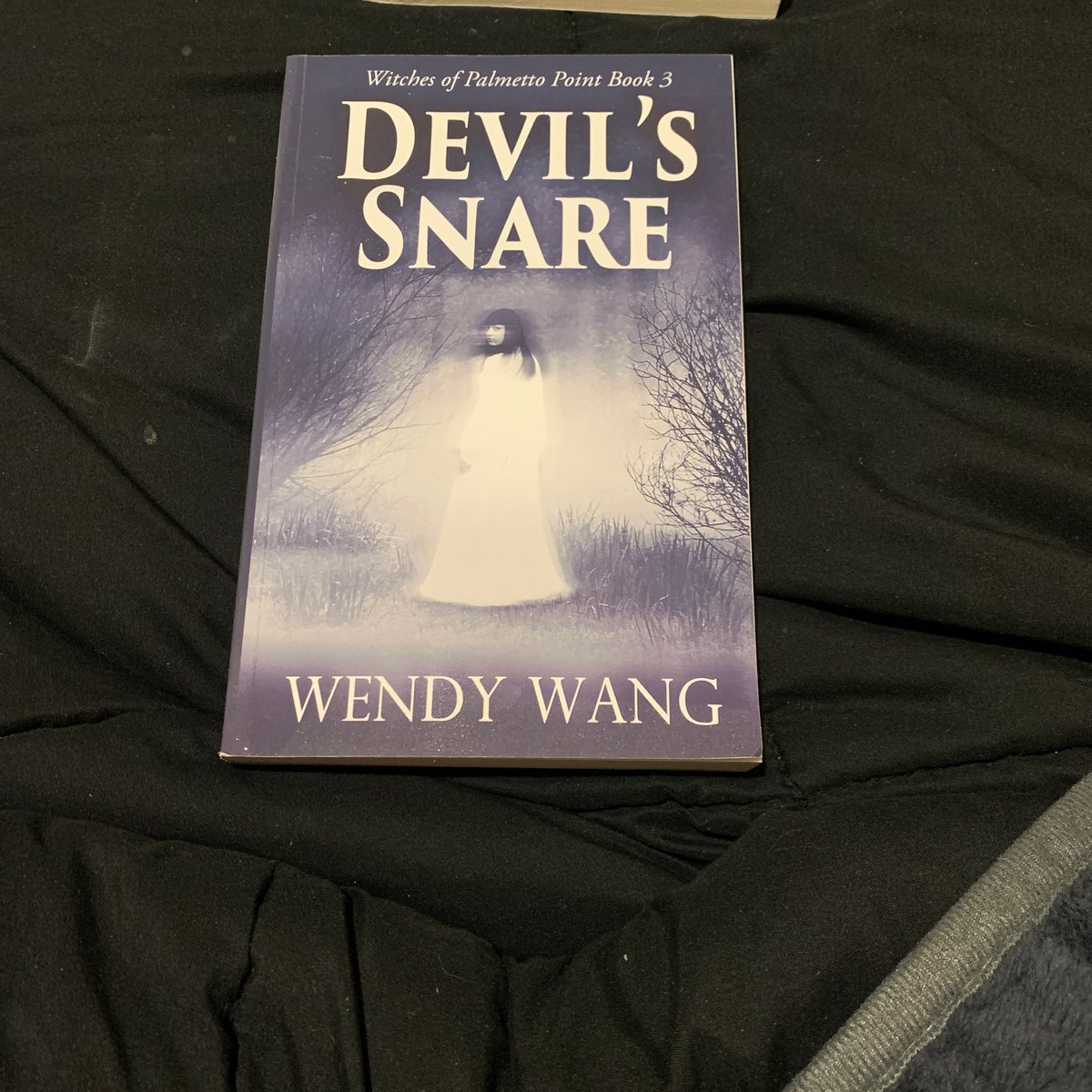Devil's Snare by Wendy Wang